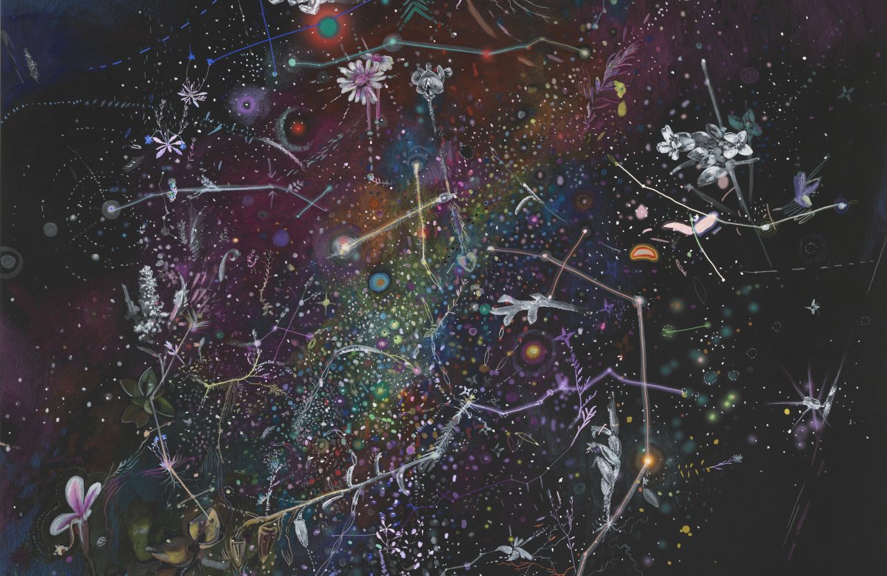 The Collections Project: Laura Wills and Louise Flaherty | Guildhouse